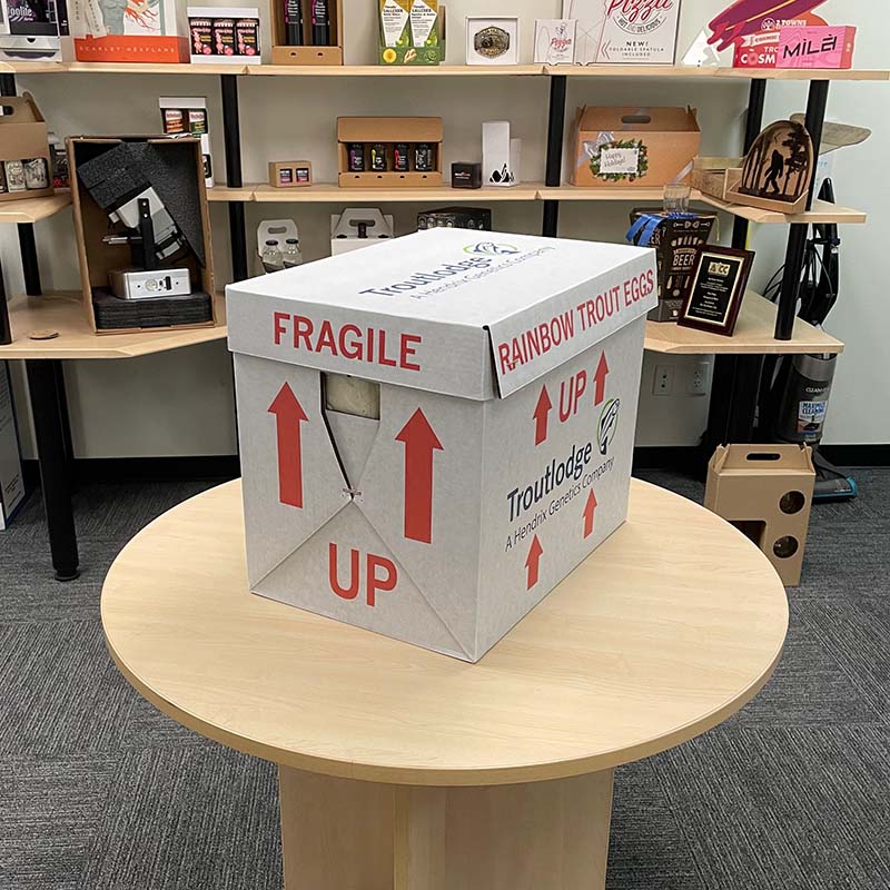 Preserving Perfection: What Is Cold Chain Packaging?