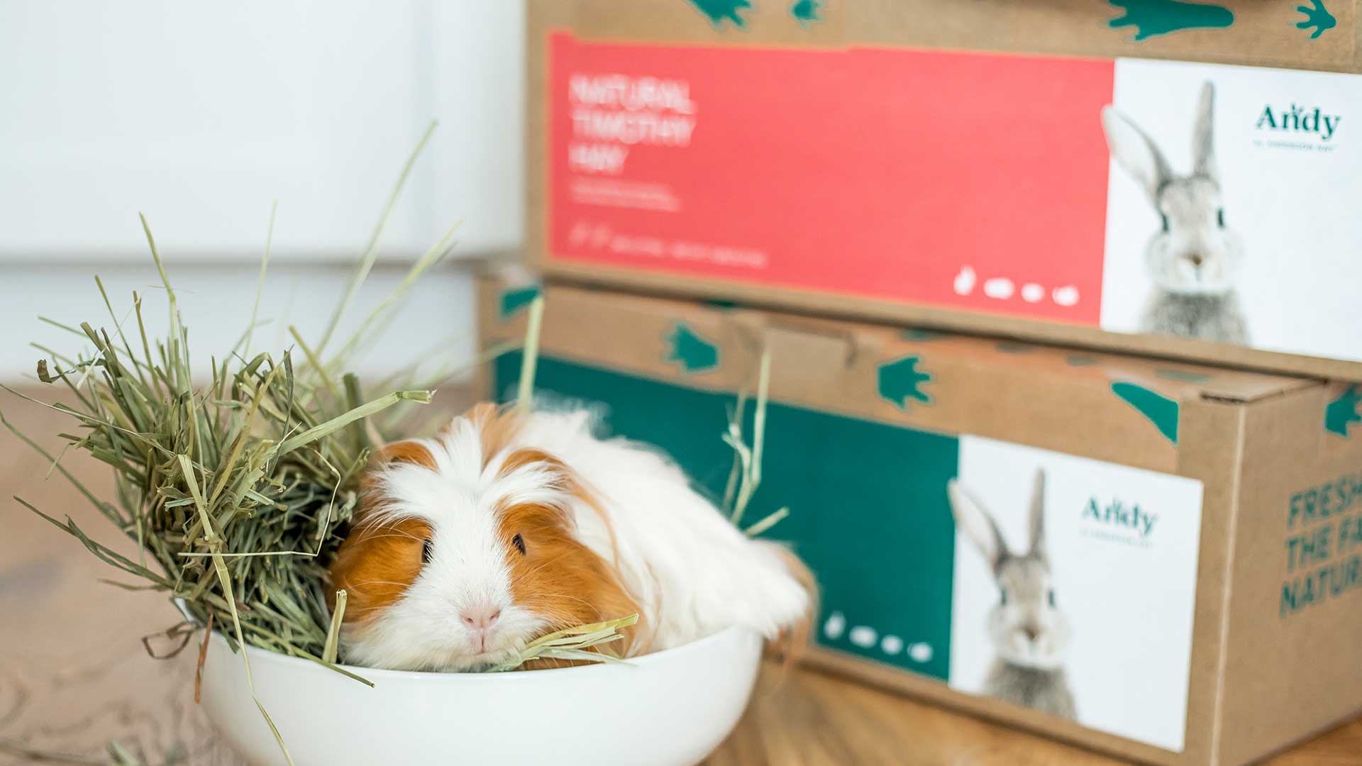 Andy Case Study — The BoxMaker